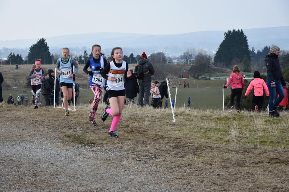 Seniors – Clayton-le-Moors Harriers